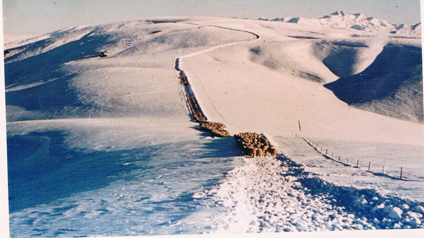 Cardrona Heritage Trail – Discover the history of our valley
