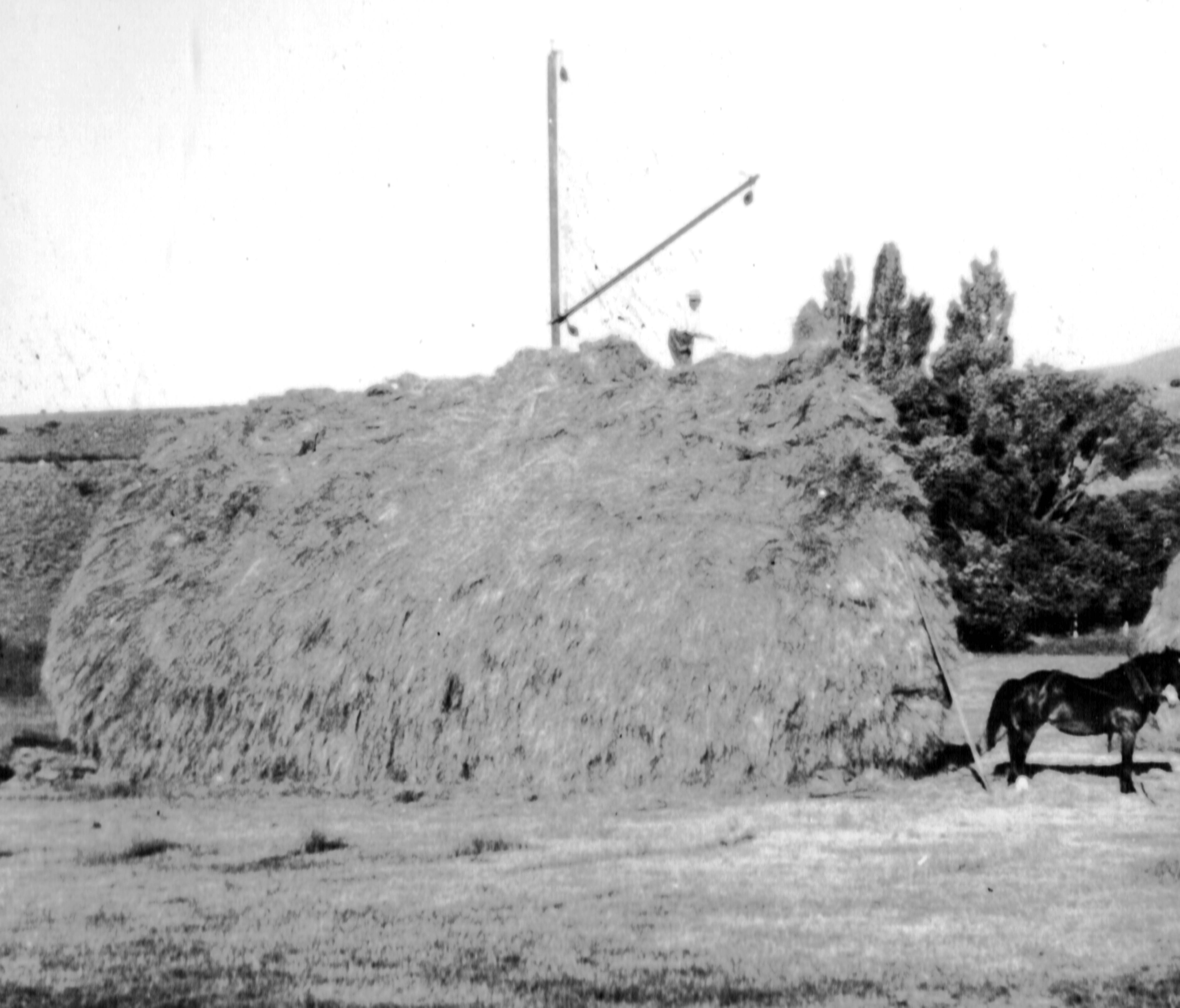 Hay Stacking – Cardrona Heritage Trail