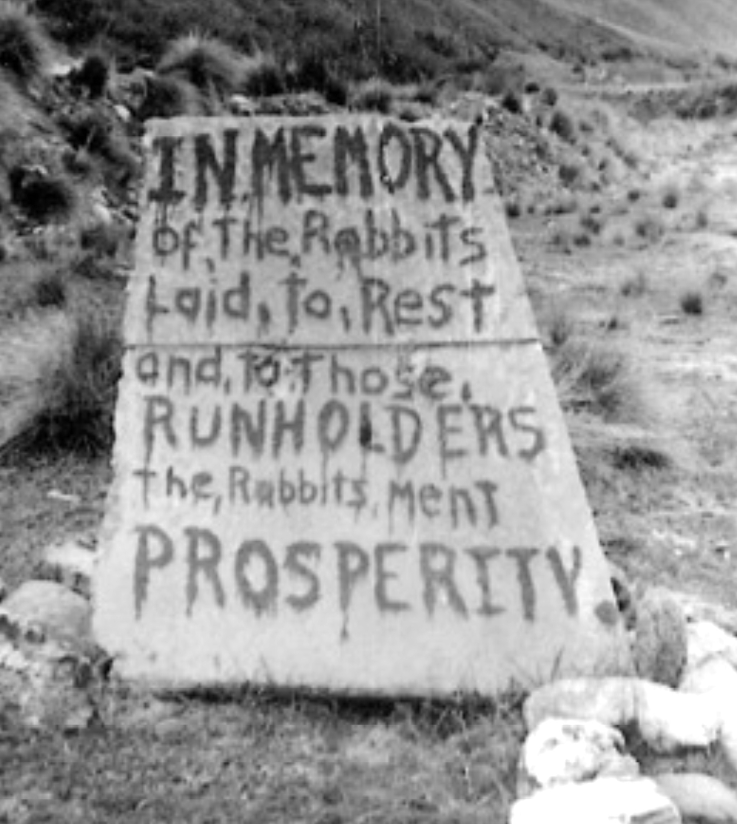 Rabbit Memory – Cardrona Heritage Trail